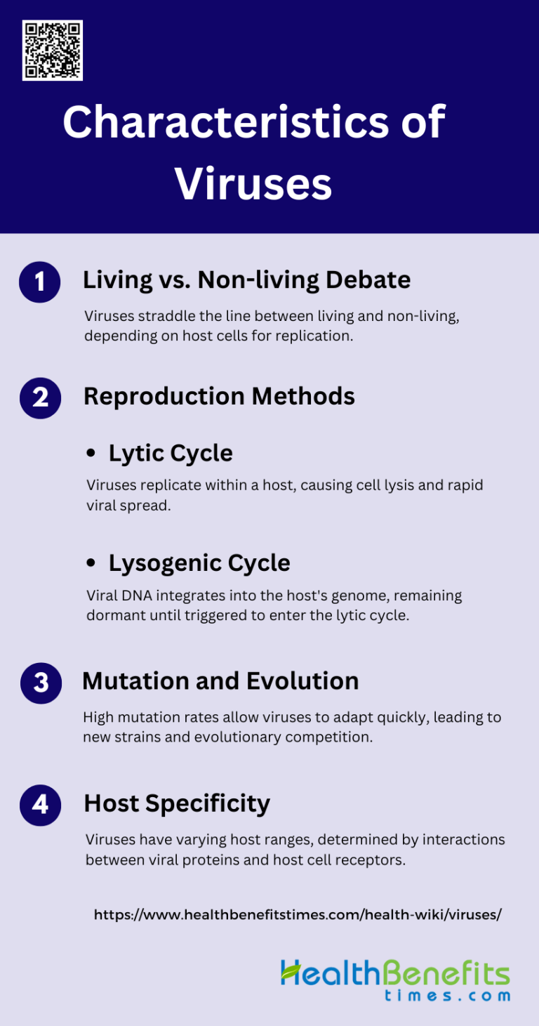 What are Viruses: Types, Characteristics - Health Benefits