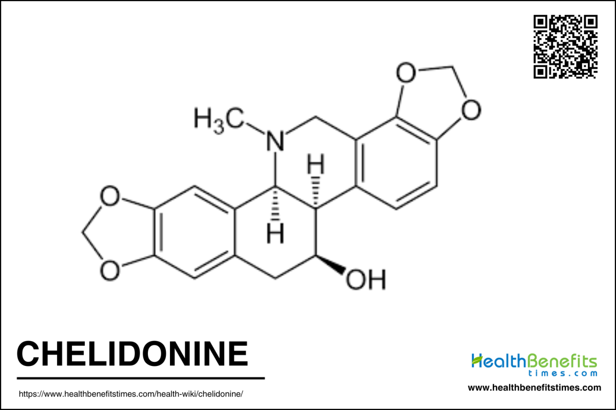 What is Chelidonine, and what can it be used for? - Health Benefits