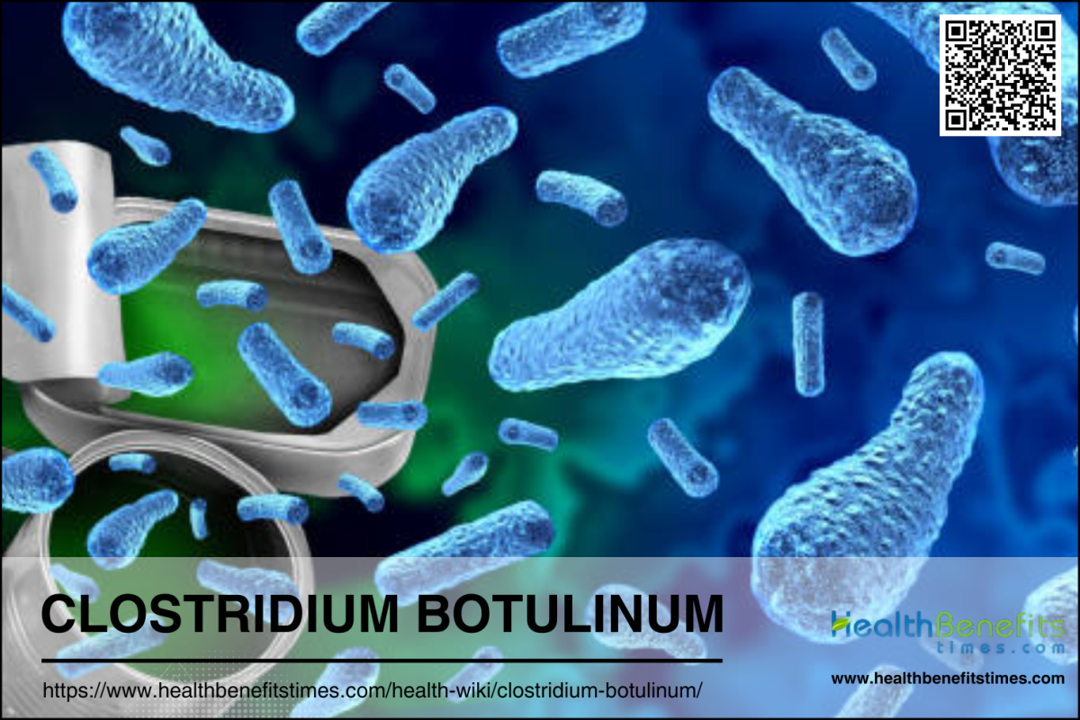 What is Clostridium botulinum? - Health Benefits