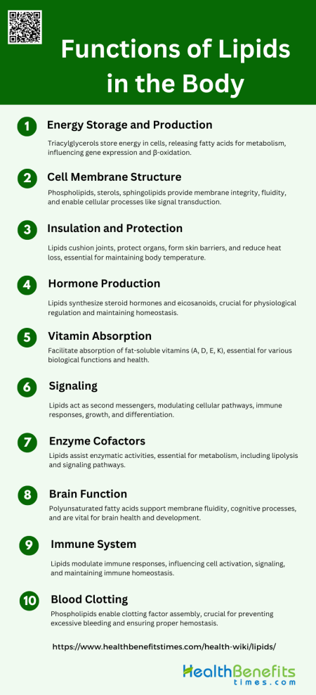 What are Lipids? | Health Benefits