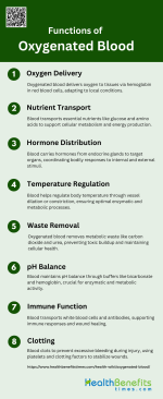 What is Oxygenated blood? - Health Benefits