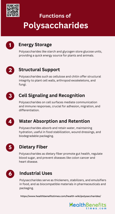 What is Polysaccharides: Characteristics, Types, and Functions - Health Benefits