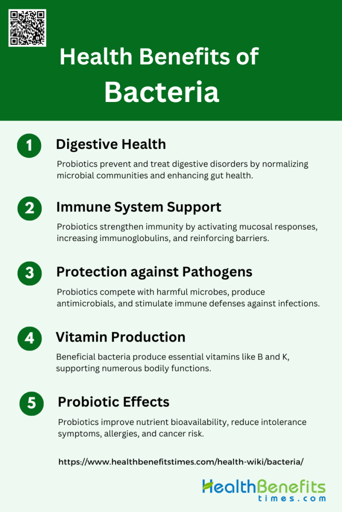 What are Bacteria: Types, Benefits, Risks - Health Benefits