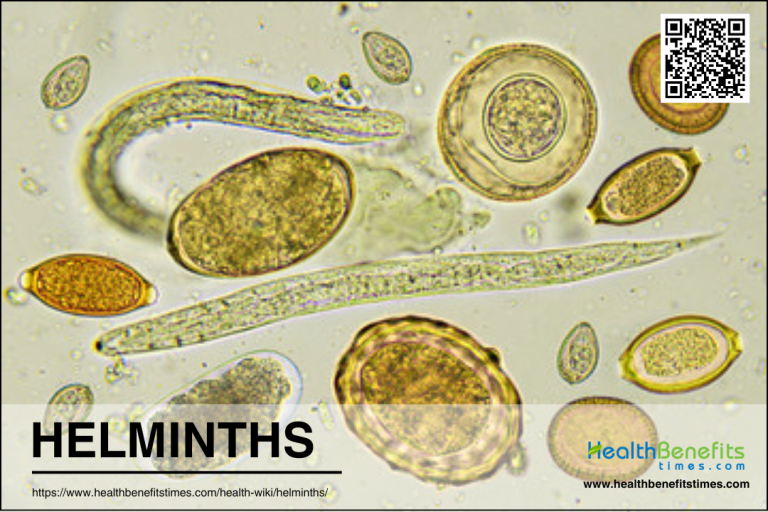 What are Helminths? - Health Benefits
