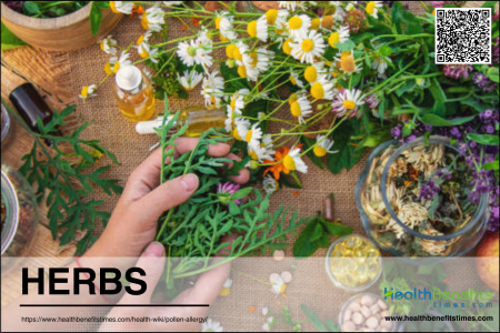 What is Herbs? - Health Benefits
