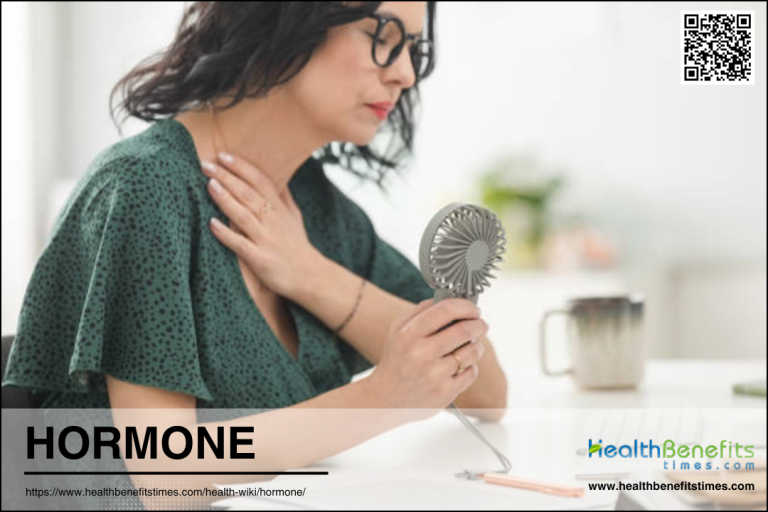 What is Hormone: Function and Types - Health Benefits