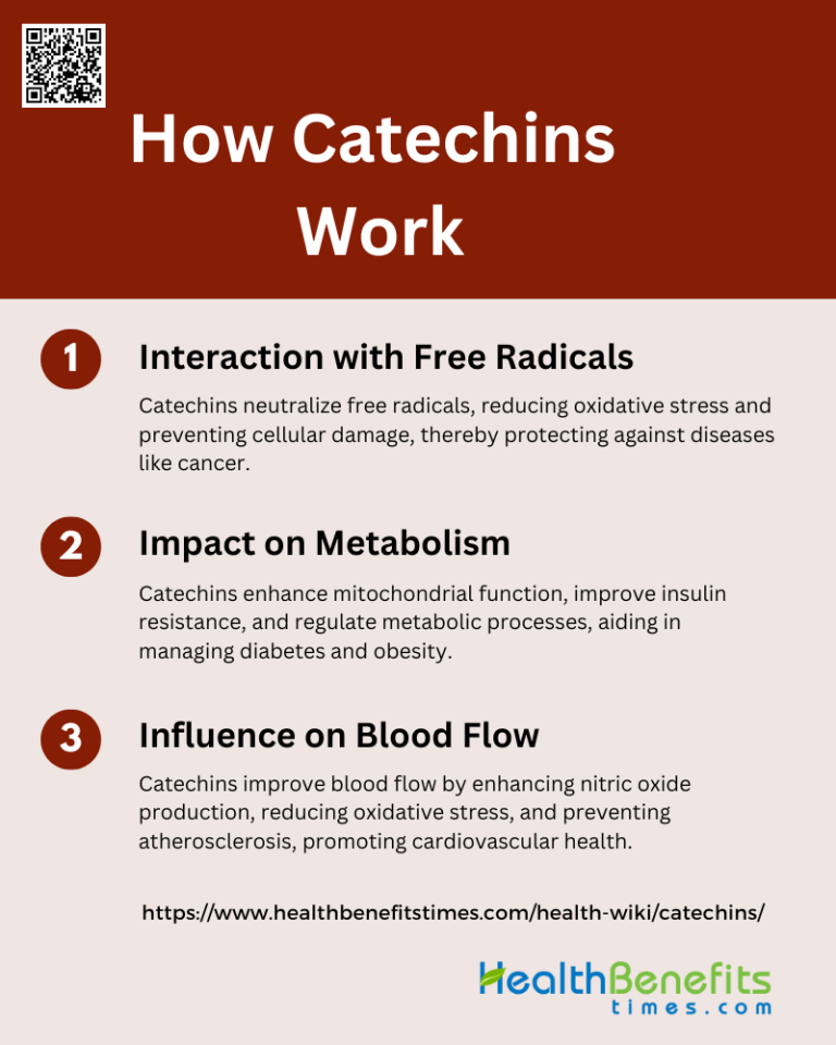 What is Catechins? - Health Benefits
