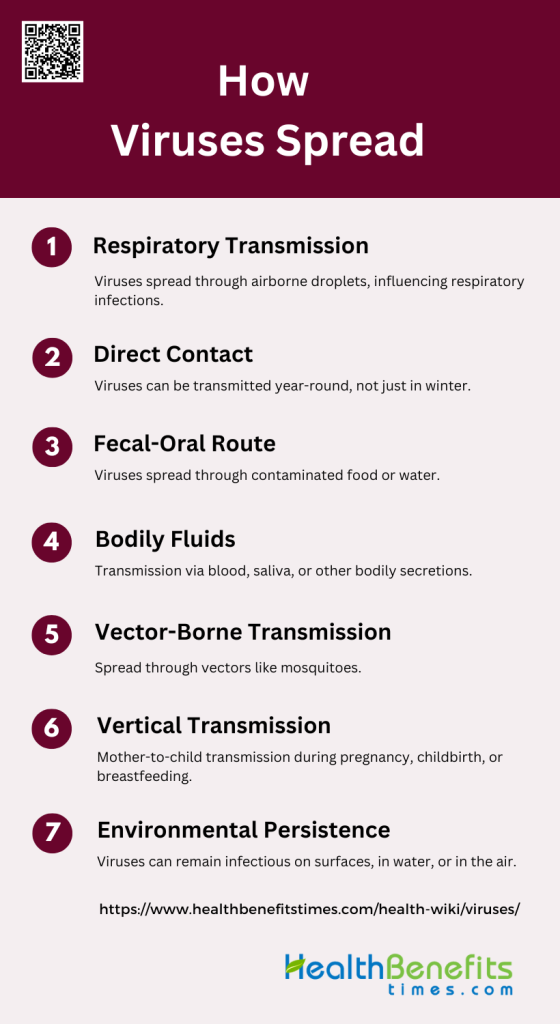 What are Viruses: Types, Characteristics - Health Benefits