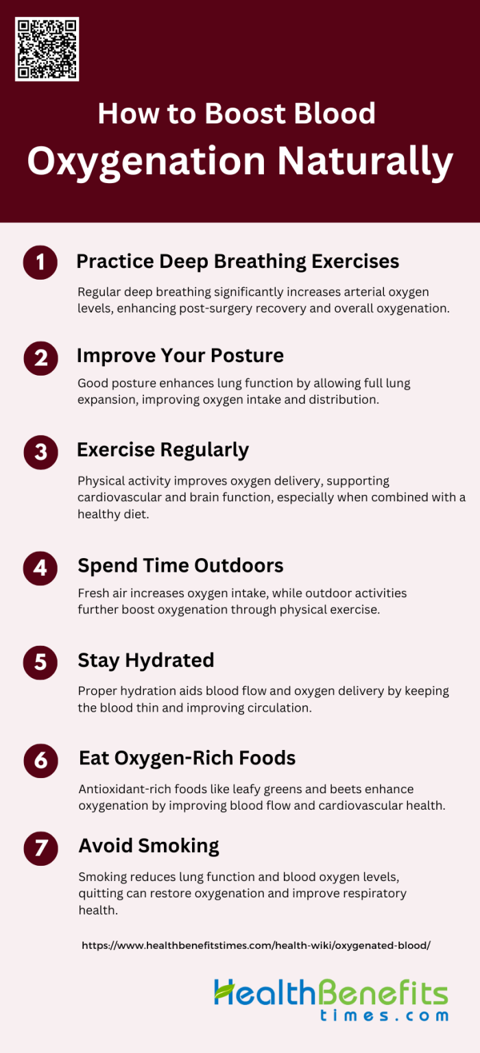 What is Oxygenated blood? - Health Benefits