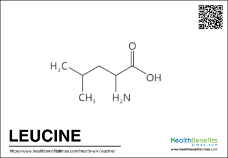 What is Leucine: Sources and Health benefits | Health Benefits
