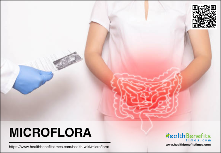 What is Microflora in the human Body - Health Benefits