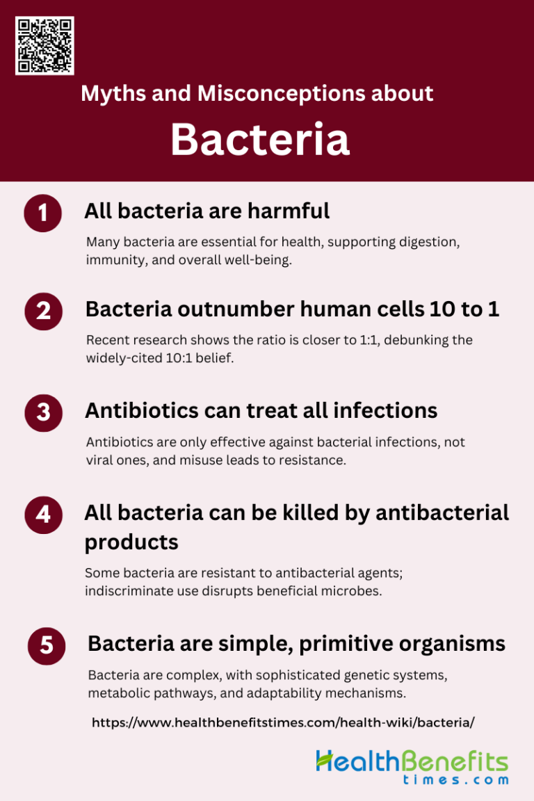 What are Bacteria: Types, Benefits, Risks - Health Benefits