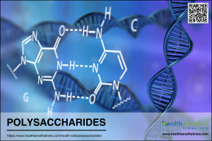 What is Polysaccharides: Characteristics, Types, and Functions - Health ...