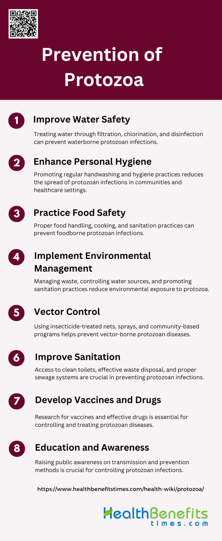 What is Protozoa: Types and Risks - Health Benefits