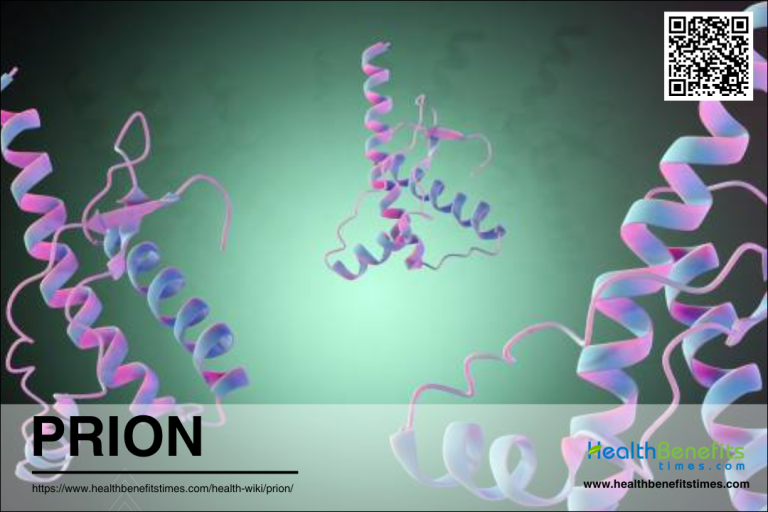 What is a Prion? - Health Benefits