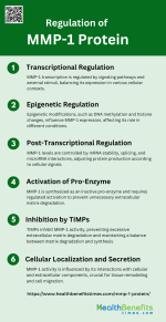 What is MMP-1 Protein: Structure, and Function - Health Benefits