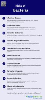 What are Bacteria: Types, Benefits, Risks - Health Benefits