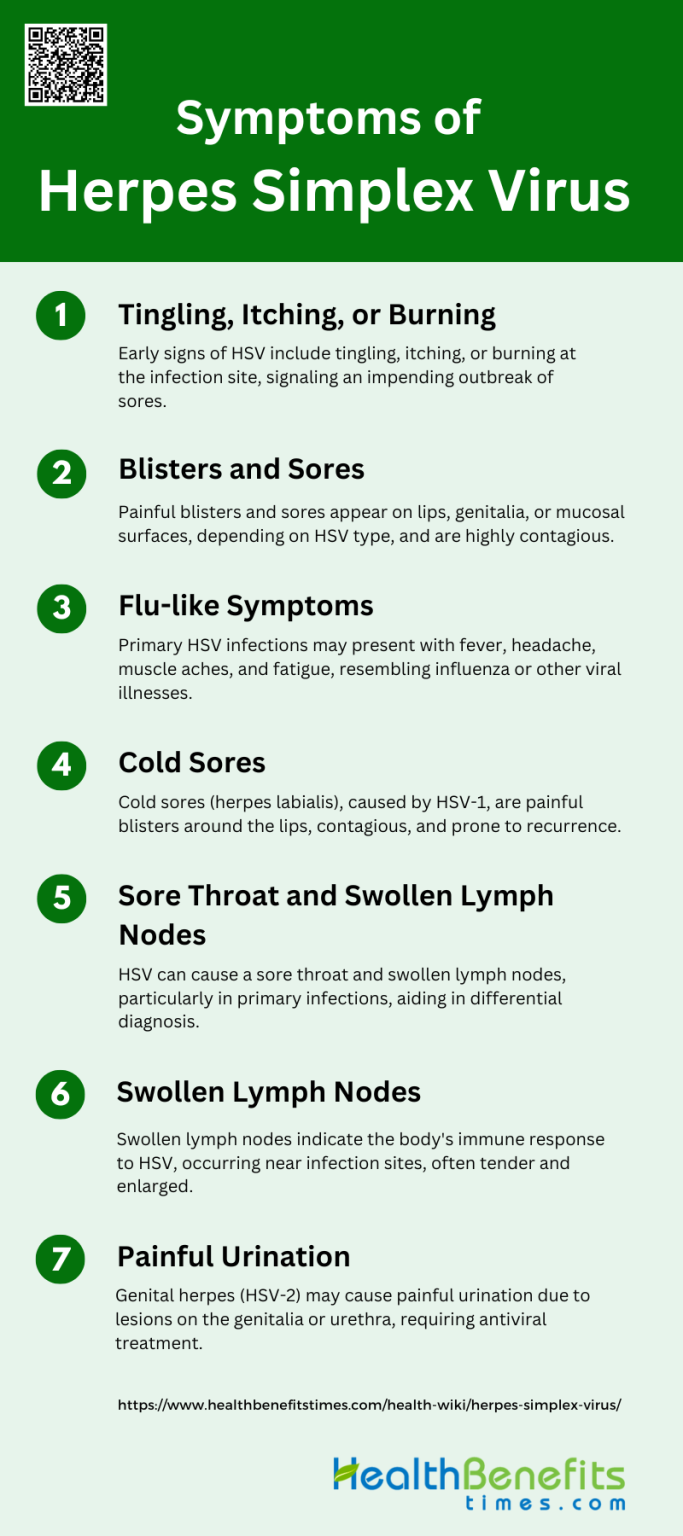 What is Herpes Simplex Virus? - Health Benefits