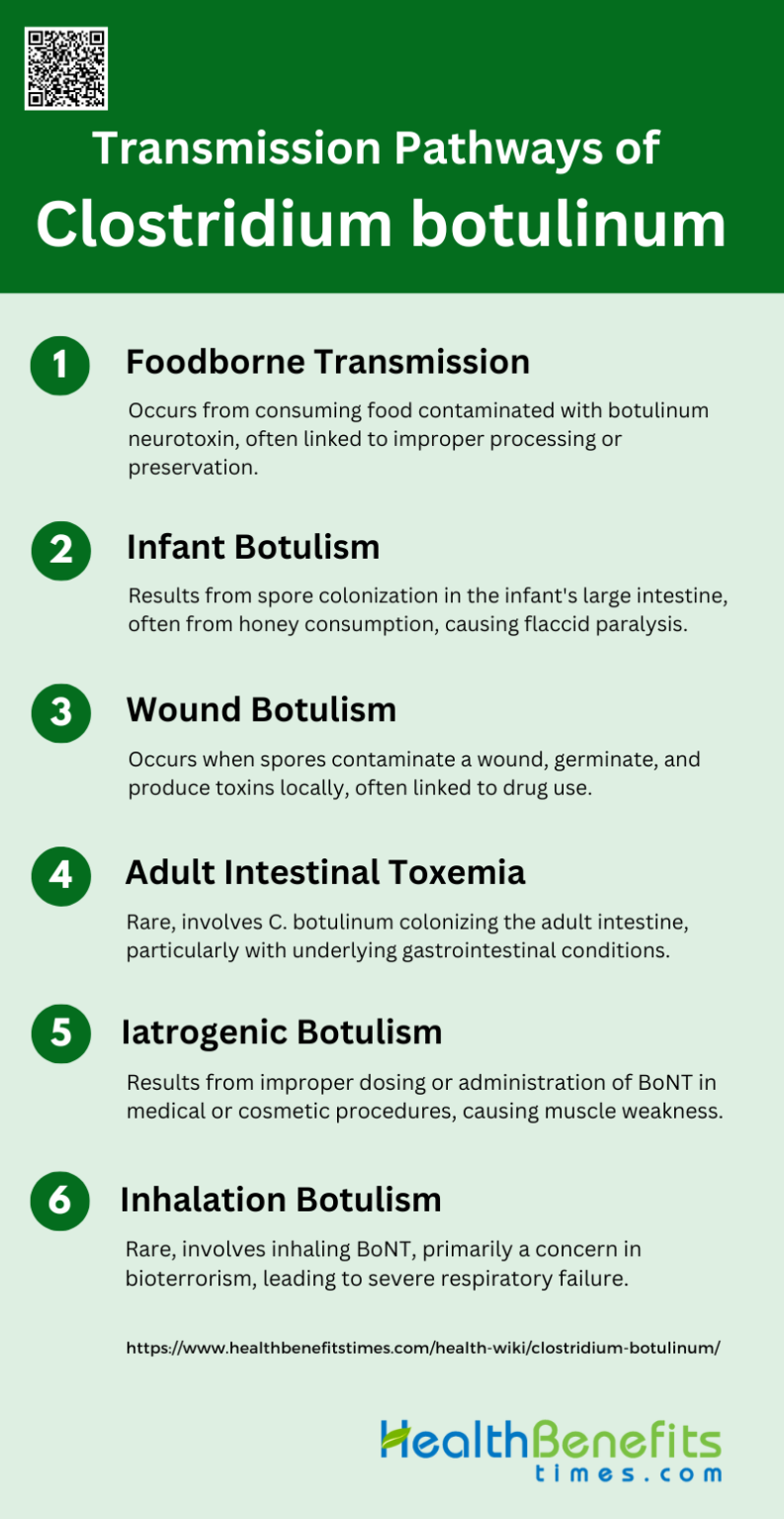 What is Clostridium botulinum? - Health Benefits