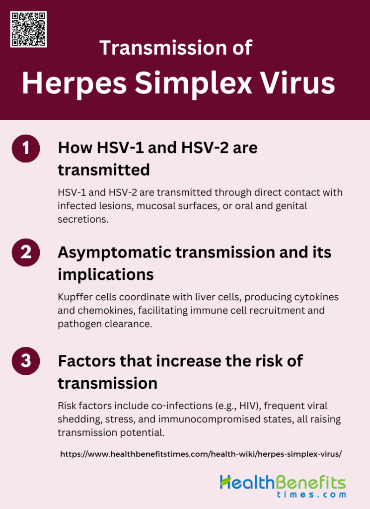 What is Herpes Simplex Virus? - Health Benefits