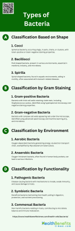 What are Bacteria: Types, Benefits, Risks - Health Benefits
