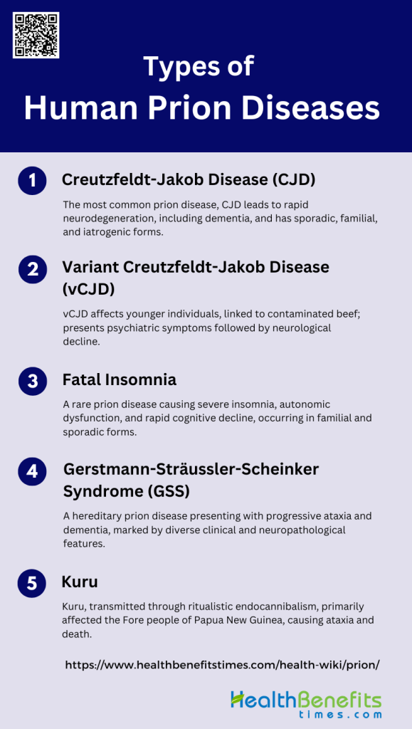 Types of Human Prion Diseases | Health Benefits