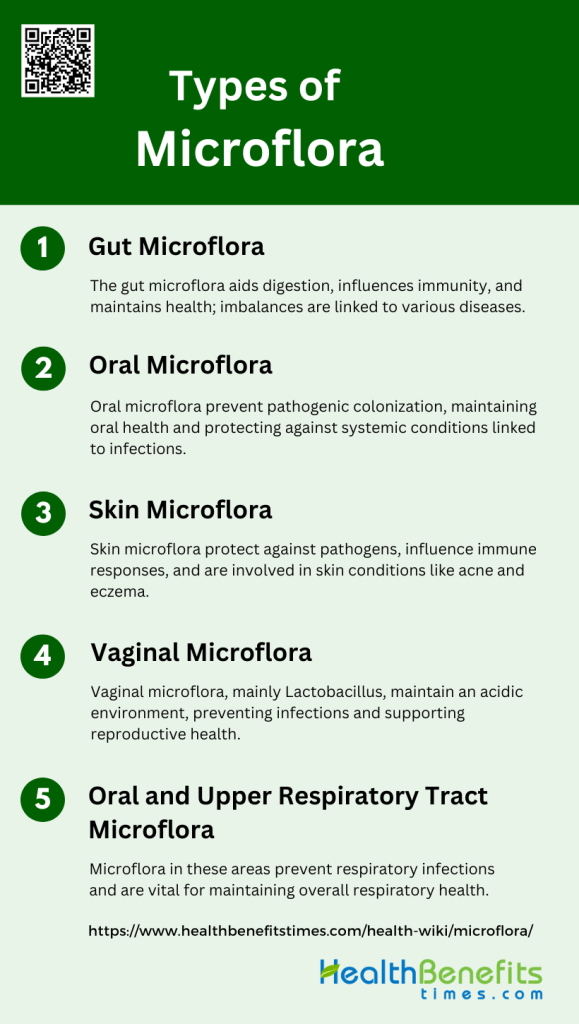 What is Microflora in the human Body - Health Benefits