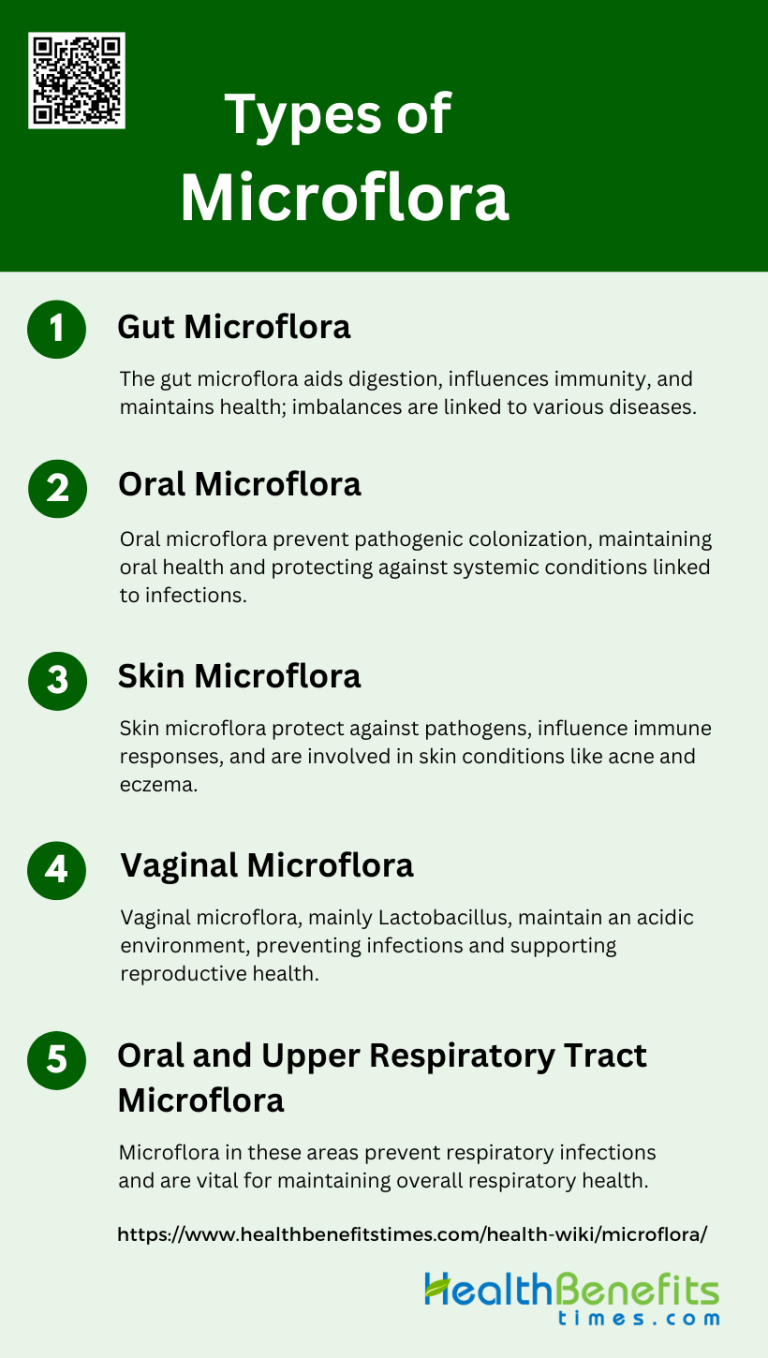 What is Microflora in the human Body - Health Benefits