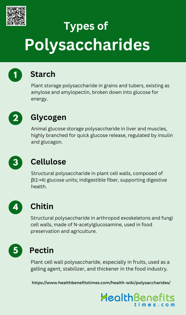 What is Polysaccharides: Characteristics, Types, and Functions - Health ...
