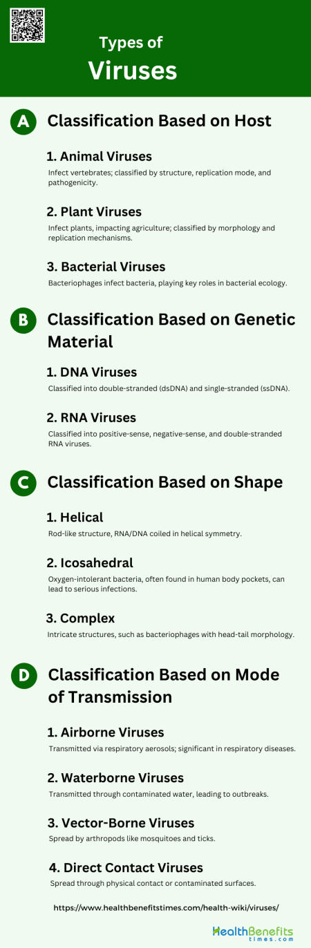 What are Viruses: Types, Characteristics - Health Benefits