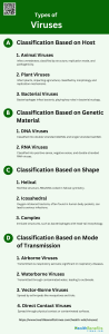What are Viruses: Types, Characteristics - Health Benefits
