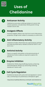 What is Chelidonine, and what can it be used for? - Health Benefits