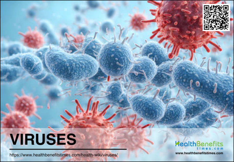 What are Viruses: Types, Characteristics - Health Benefits