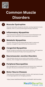 What are Muscles: Types, composition and development - Health Benefits