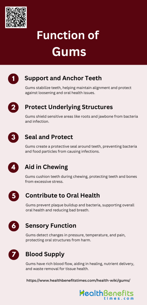 What Are Gums (Gingivae) - Health Benefits