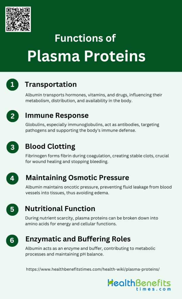What is Plasma Proteins: Structure, Functions - Health Benefits