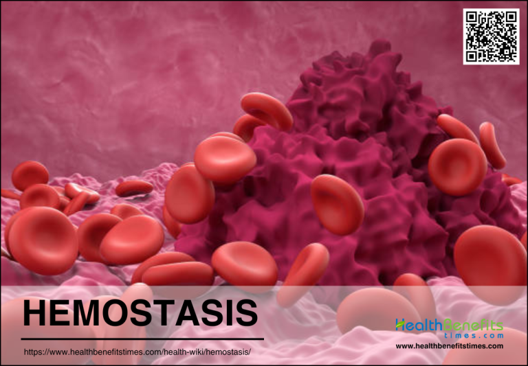 What is hemostasis? - Health Benefits