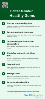 What Are Gums (Gingivae) - Health Benefits