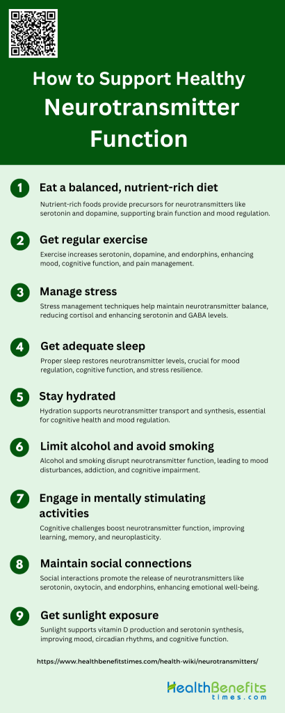 What is Neurotransmitters? Functions and Types - Health Benefits