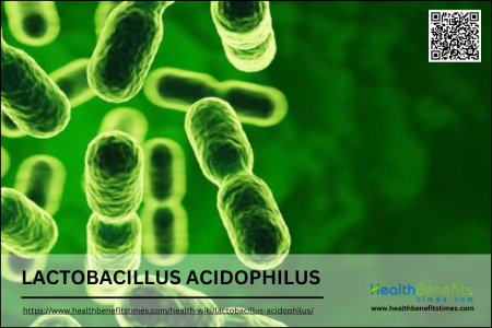 What is Lactobacillus acidophilus? Benefits and Side effects. - Health ...