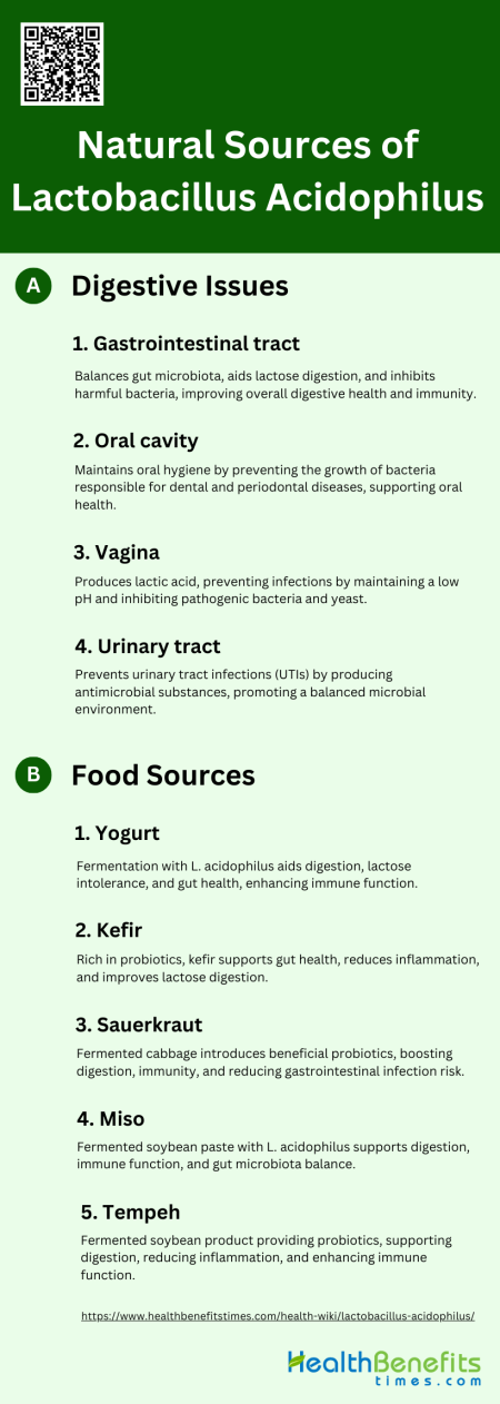 What is Lactobacillus acidophilus? Benefits and Side effects. - Health ...