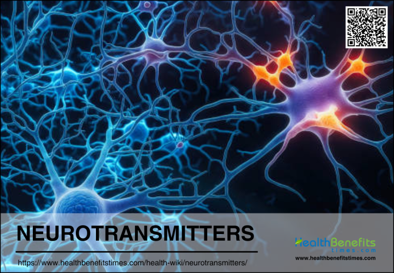 What is Neurotransmitters? Functions and Types - Health Benefits