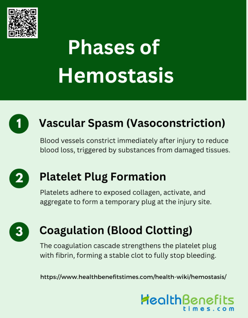 What is hemostasis? - Health Benefits
