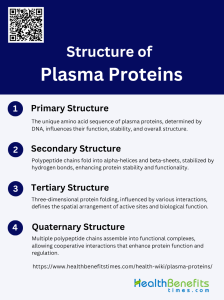 What is Plasma Proteins: Structure, Functions - Health Benefits