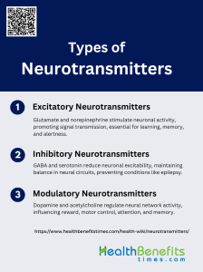 What is Neurotransmitters? Functions and Types - Health Benefits