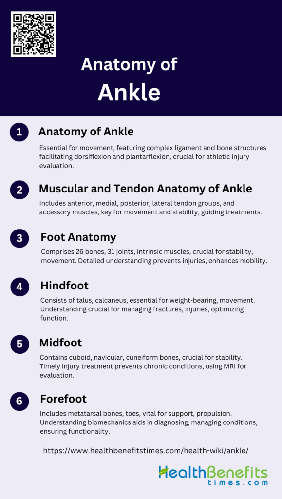 Ankle - Health Benefits