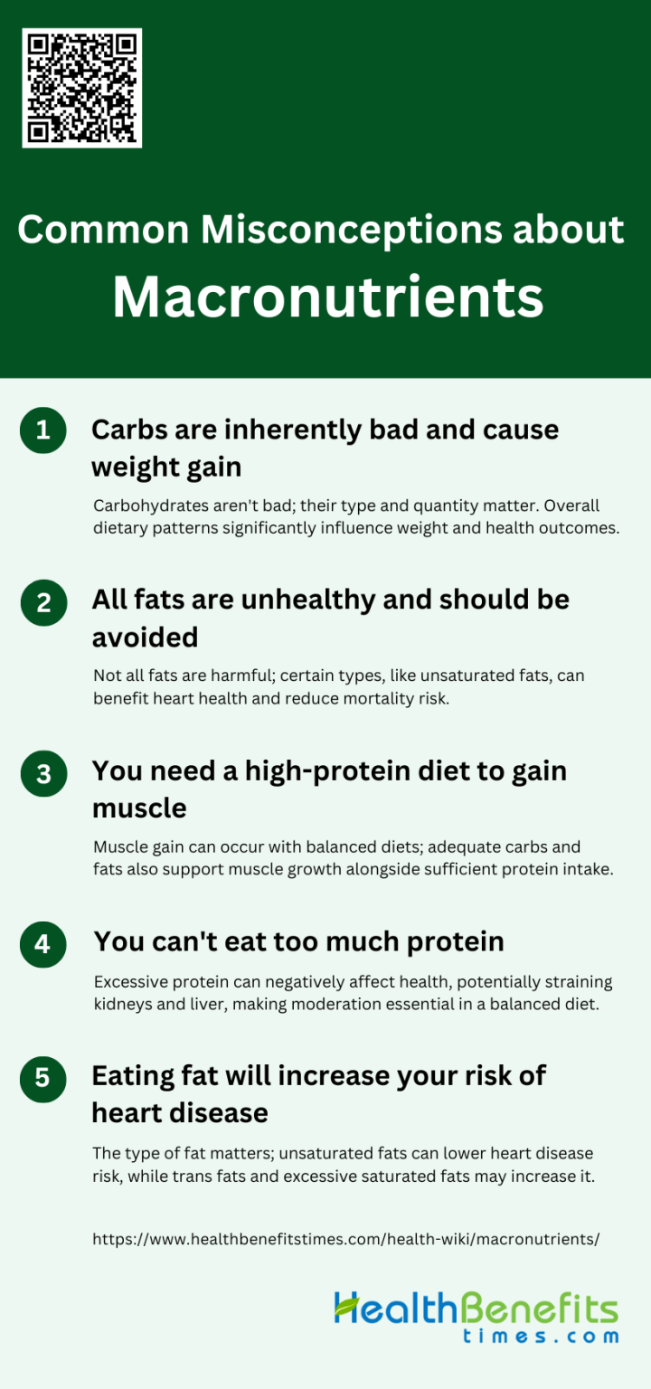 What is Macronutrients: Definition, importance, and food sources ...