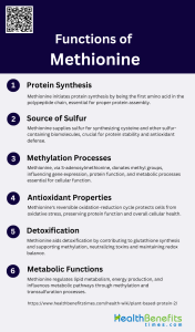 Methionine: Uses, Food Sources and Side Effects - Health Benefits