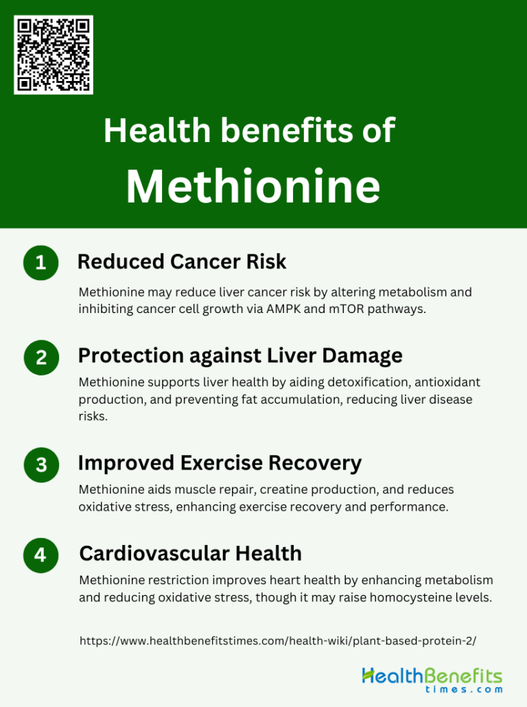 Methionine: Uses, Food Sources and Side Effects - Health Benefits