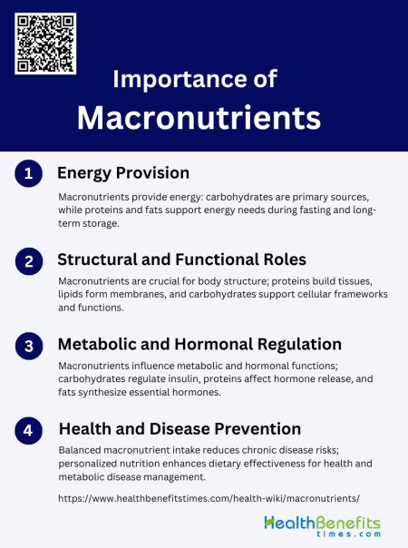 What is Macronutrients: Definition, importance, and food sources ...